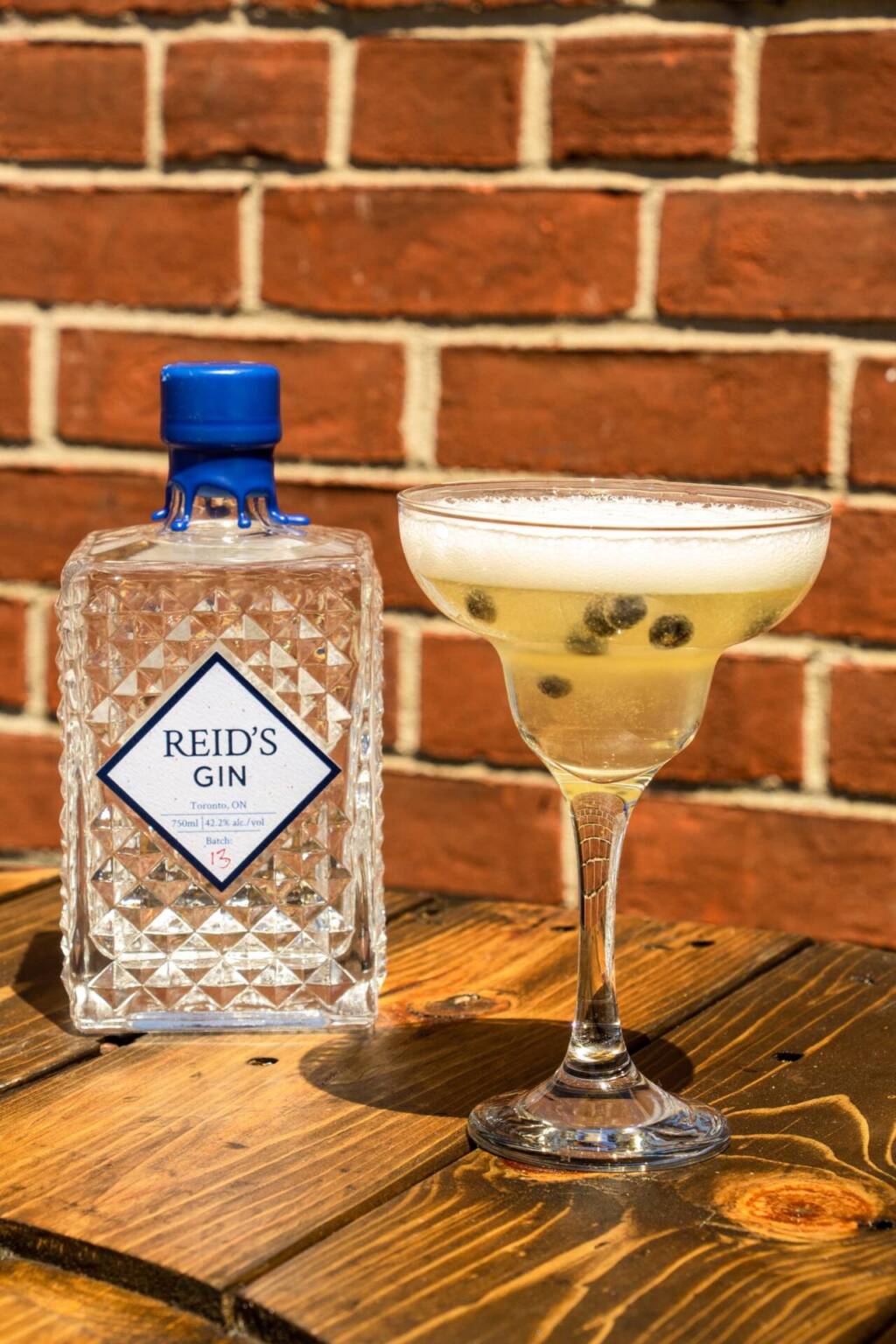 Canadian Inspired Cocktails with Reid’s Distillery Gin! | Daniel et Daniel